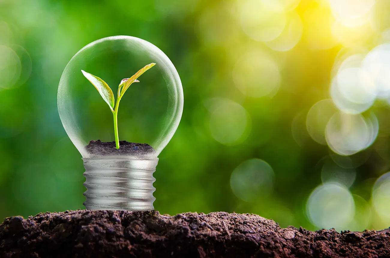 Green Energy Lighting - Simarco